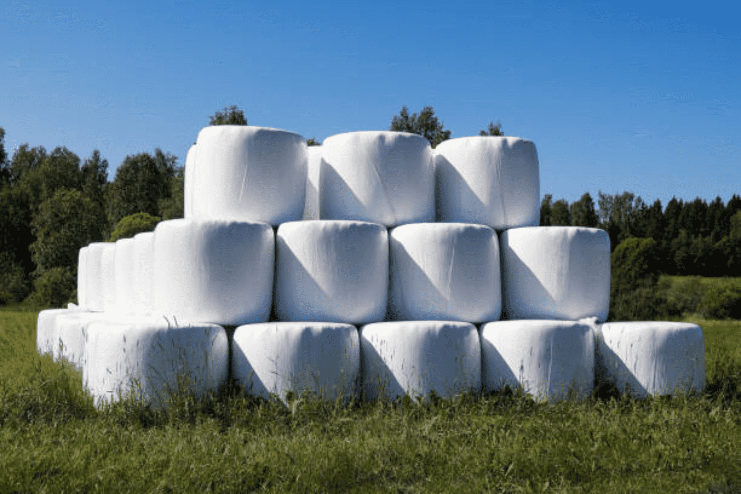 Choosing The Right Baling Approach: Round Bale Silage