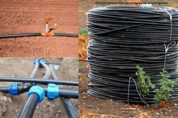 Traditional Watering Methods Vs Drip Irrigation: Savings Unleashed ...