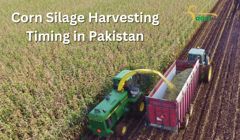 Corn Silage Harvesting: 10 Essential Tips For Successful Farming ...