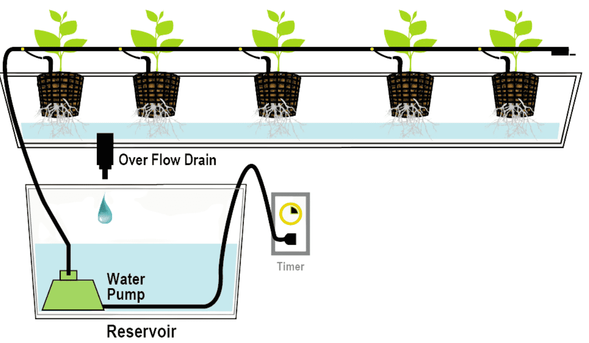Maximize Growth: Drip Irrigation System In Pakistan Complete Guide ...