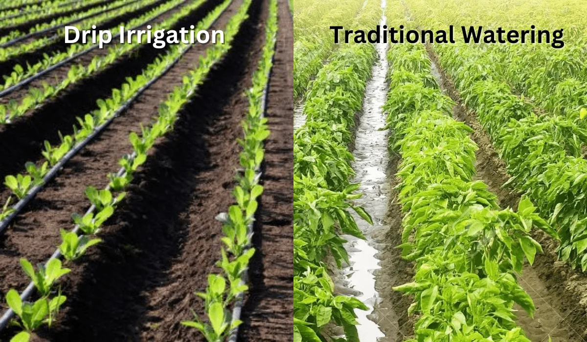 Traditional Irrigation Types