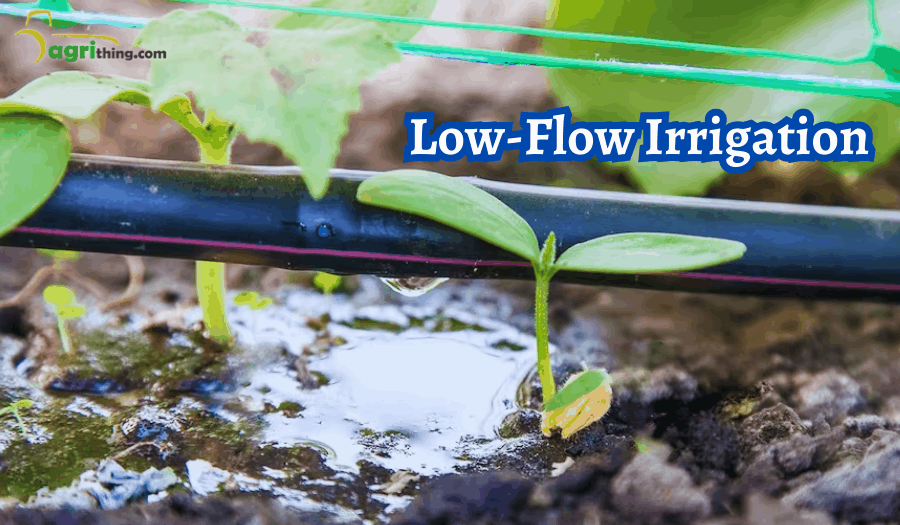 Low-flow Irrigation: Calculating Water Needs For Healthy Plants ...