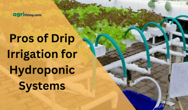 Maximize Growth: Drip Irrigation System In Pakistan Complete Guide ...