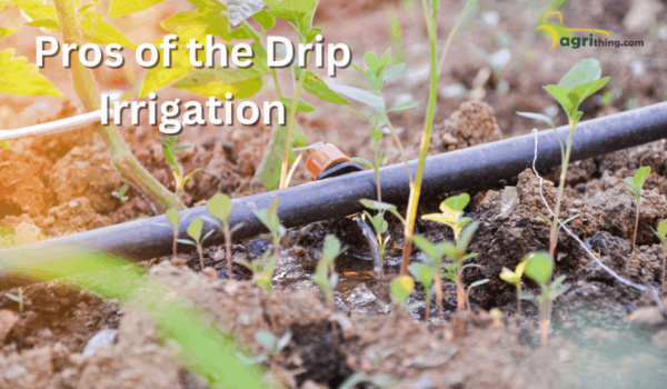 Power Up With Soaker Hoses: Effortless Watering - AgriThing.com