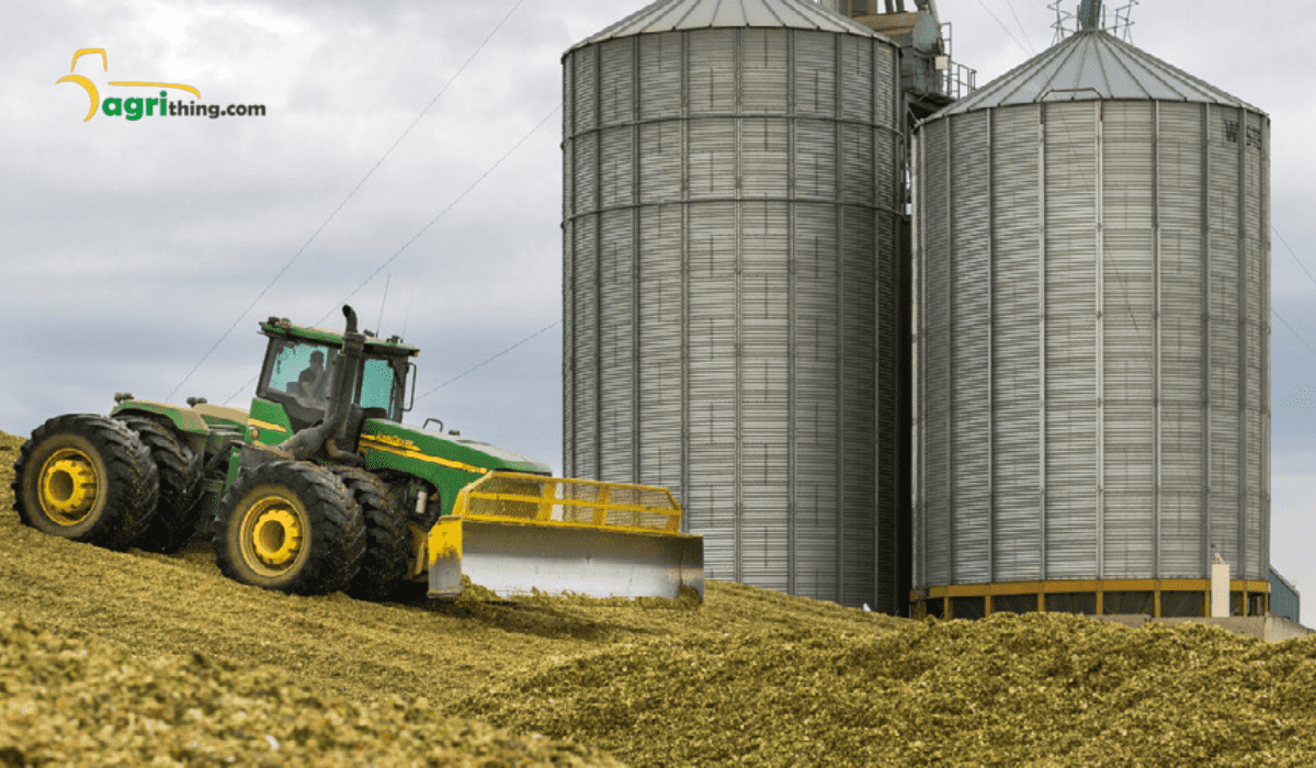 Maximizing Corn Silage Production: Unforgettable Harvests - AgriThing.com