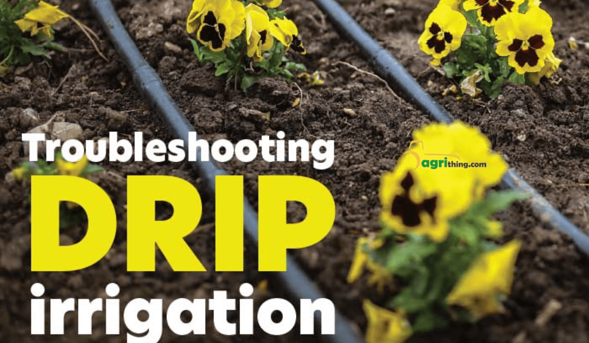 Masterful Drip Irrigation System Installation Ultimate Guide