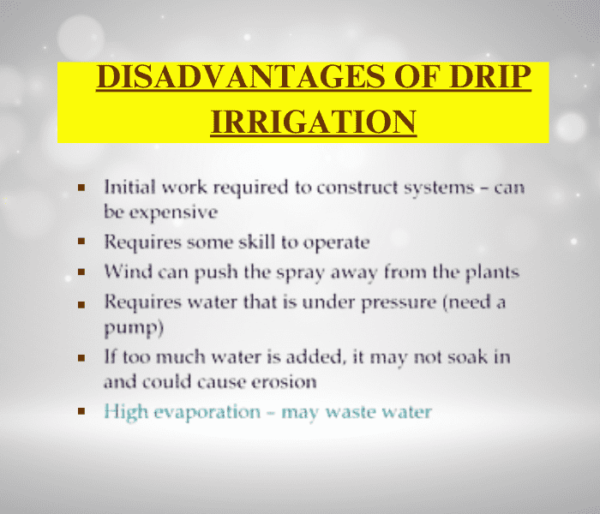 Easy DIY Drip Irrigation: Step-by-Step Guide - AgriThing.com