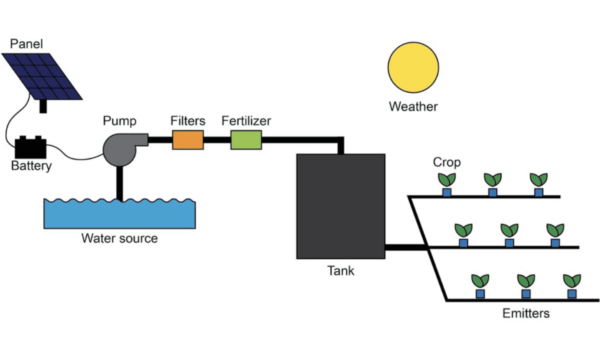 Choosing The Perfect Drip Irrigation Kit: Guide - AgriThing.com