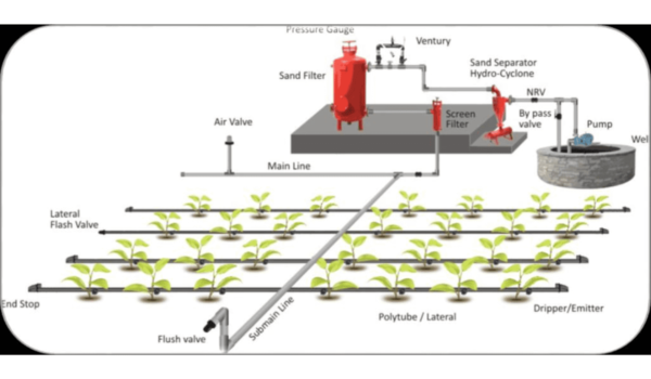 Masterful Drip Irrigation System Installation: Ultimate Guide ...