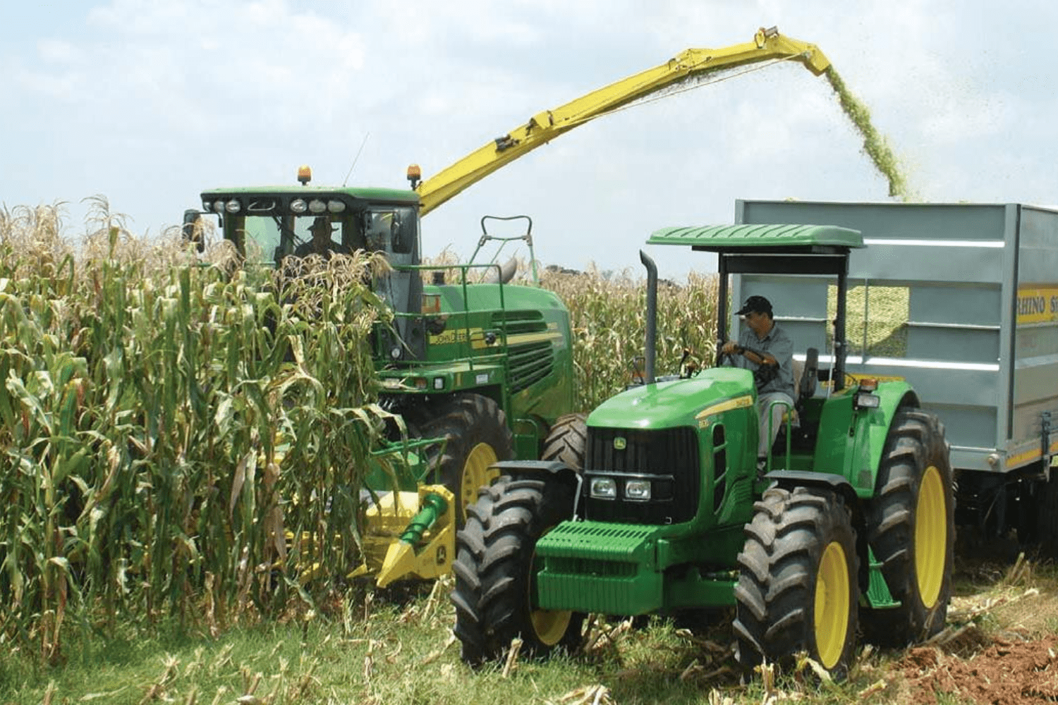 Silage Price In Pakistan: A Comprehensive Guide - AgriThing.com