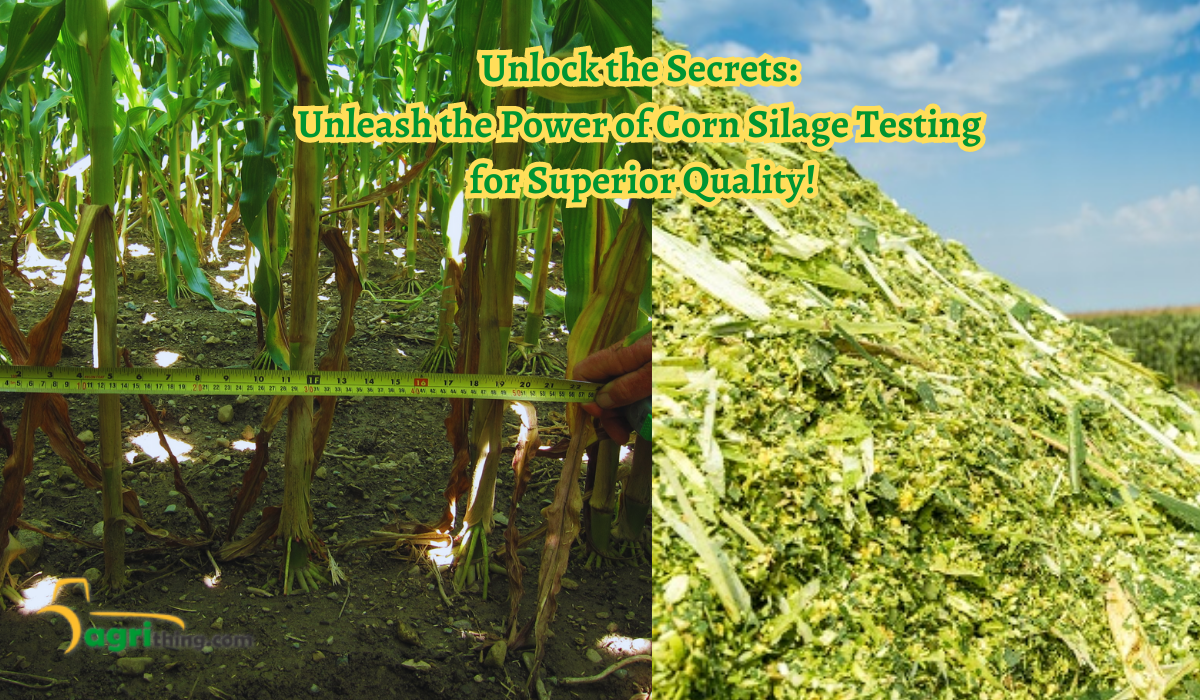 Corn Silage Testing: Ensuring Optimal Feed Quality - AgriThing.com