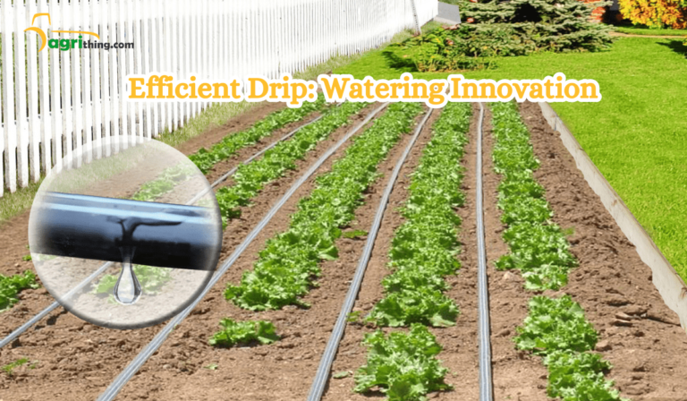 The Science Behind Trickle Irrigation: Unveiling The Magic And ...