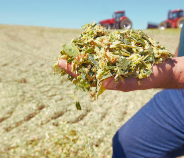 Corn Silage Testing: Ensuring Optimal Feed Quality - AgriThing.com