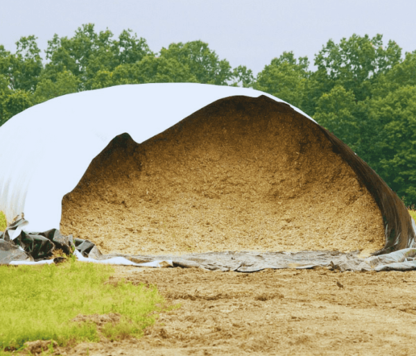 Nutrient Management: Unlock Optimal Growth And Yield - AgriThing.com