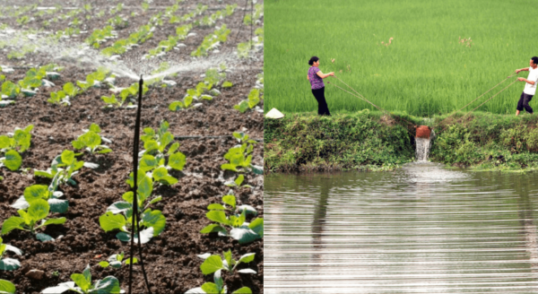 This Precision Irrigation Helps Your Plants Growth - AgriThing.com