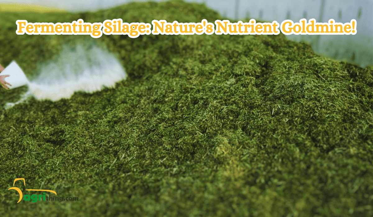Master Silage Fermentation: Empower Your Farming Success - AgriThing.com