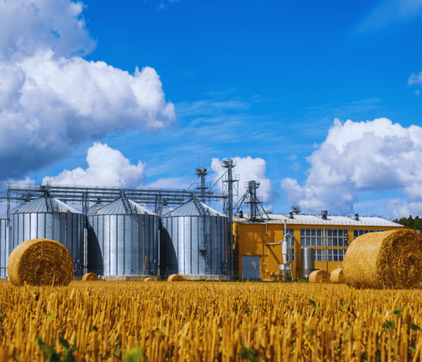 5 Surprising Ways To Super Charge Corn Silage Processing - AgriThing.com