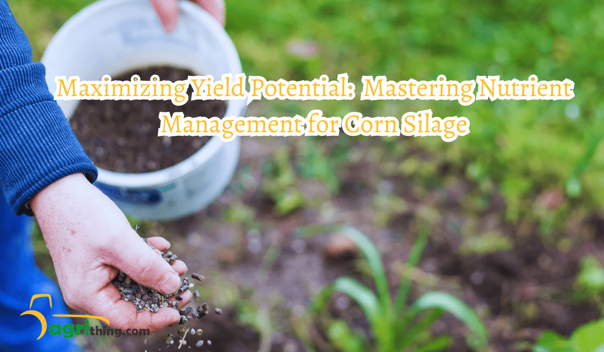 Nutrient Management: Unlock Optimal Growth And Yield - AgriThing.com